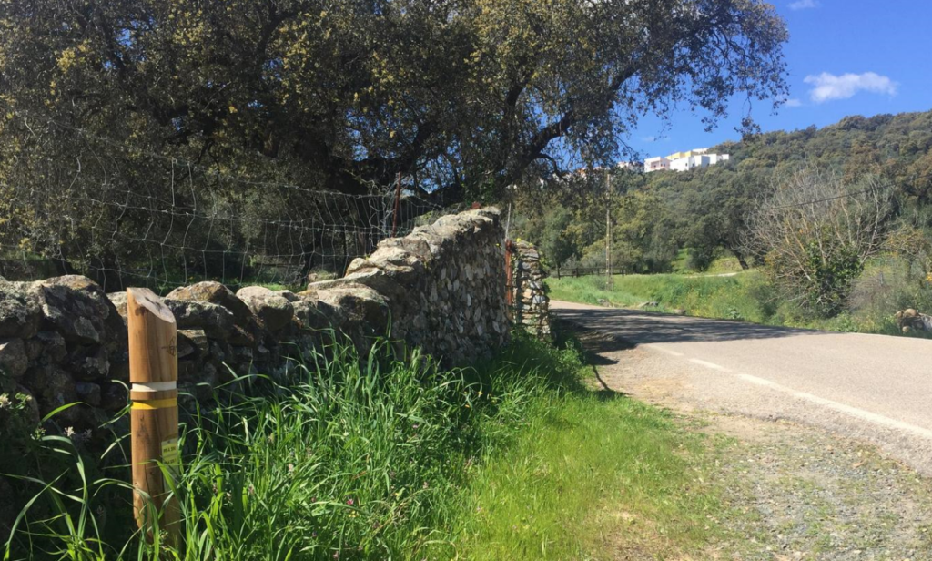 Inicio - Castillo Guardas